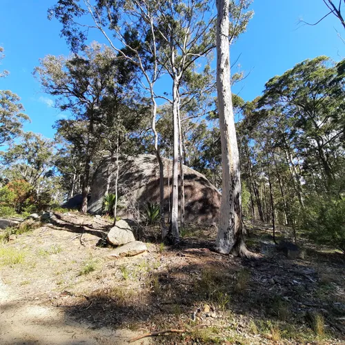 Best Hikes and Trails in Bodalla | AllTrails