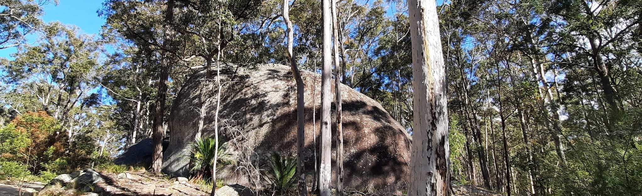 Bodalla Ride, New South Wales, Australia - 5 Reviews, Map | AllTrails