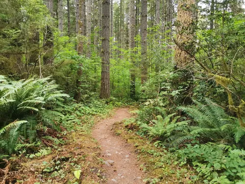 10 Best Trails and Hikes in Maple Valley | AllTrails
