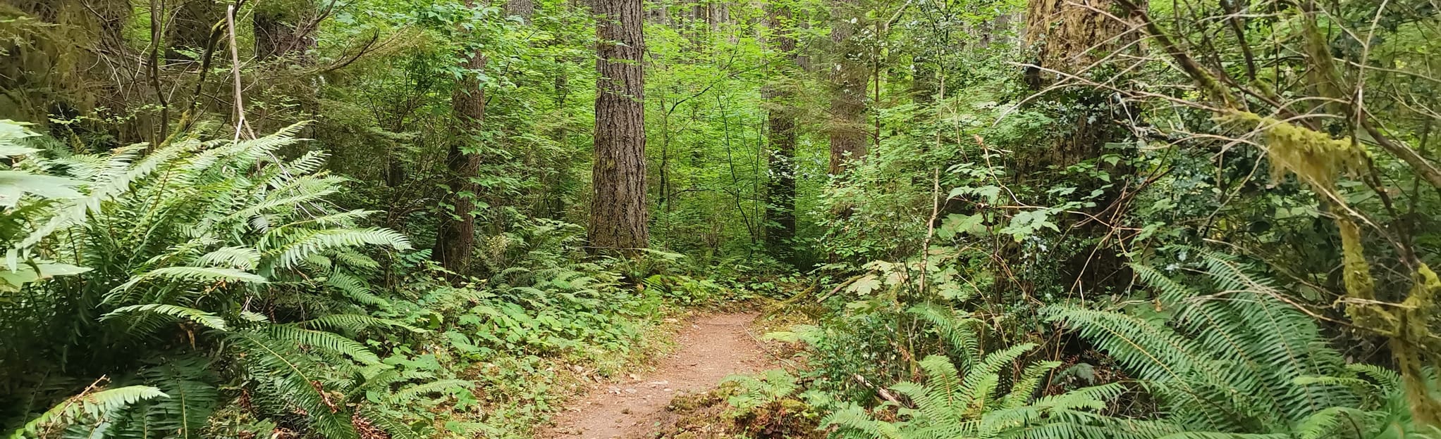 Elk Ridge and Carey Creek - Washington | AllTrails