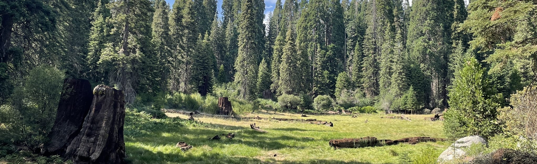 Azalea Campground to Big Stump Grove, California - 70 Reviews, Map ...