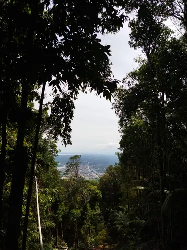 Best Hikes and Trails in Hutan Simpan Segari Melintang | AllTrails