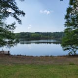 Puskus Lake Recreation Area Trail, Mississippi - 23 Reviews, Map ...