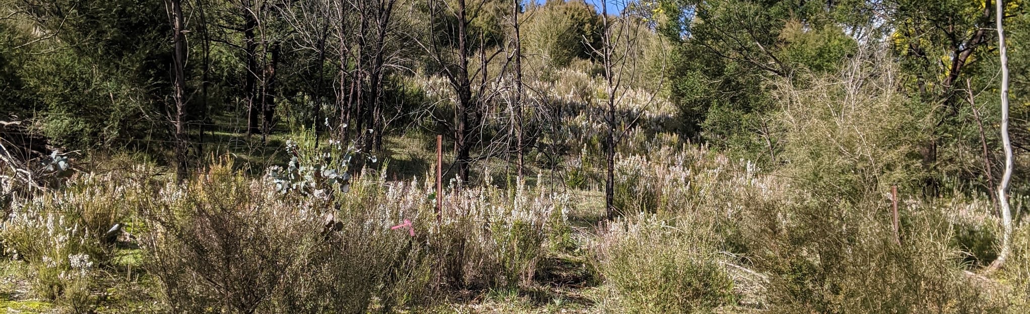 Boomers Nature Reserve to Watsons Creek: 38 Reviews, Map - Victoria ...