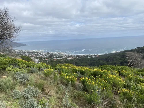 10 Best Kid Friendly Trails in Cape Town | AllTrails