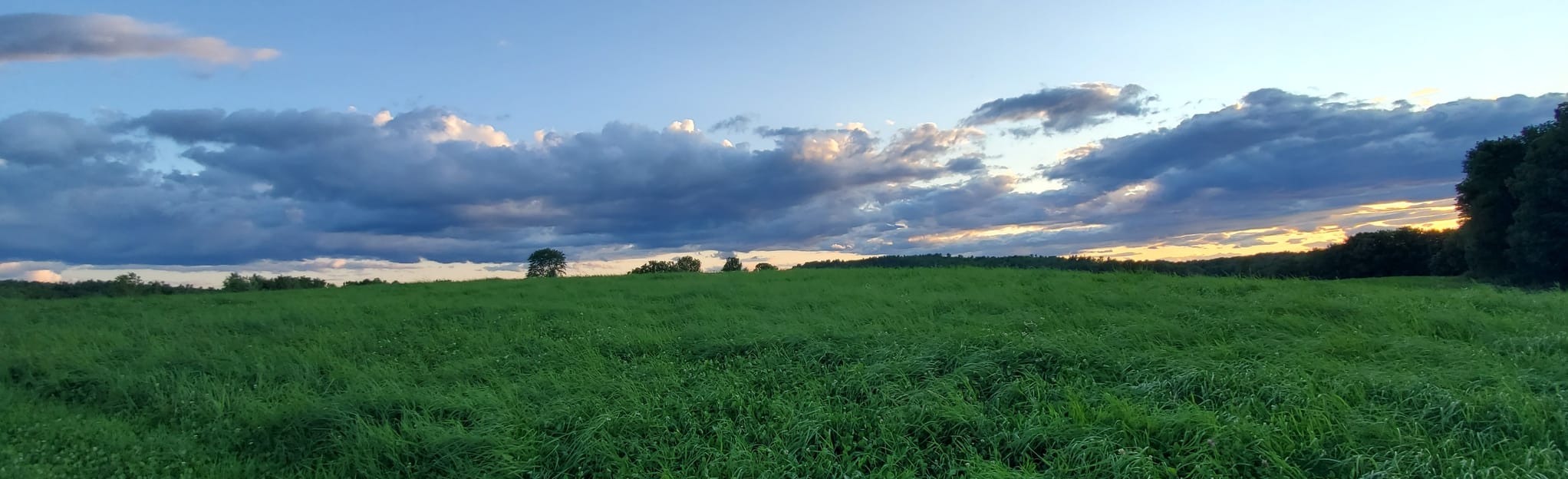 Pineland Farms Ski Trails, Maine - 77 Reviews, Map | AllTrails