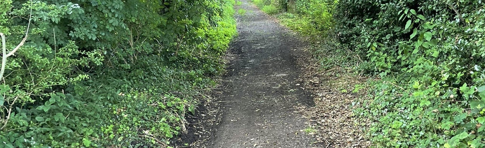 Cliff Hill Quarry, Stanton and Markfield Circular, Leicestershire ...