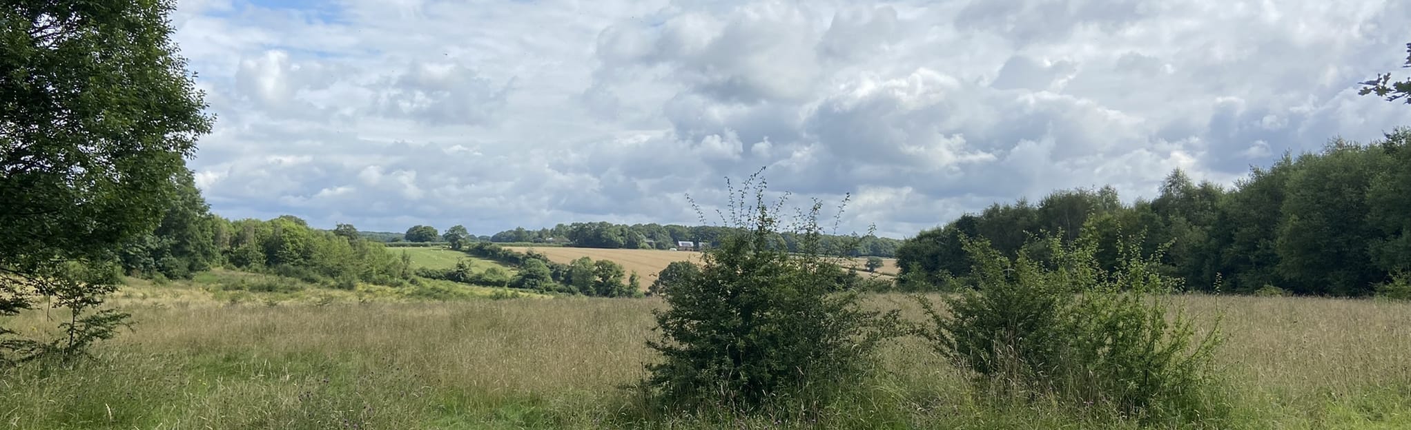 Home Farm Woodland Trail, Hampshire, England - 69 Reviews, Map | AllTrails