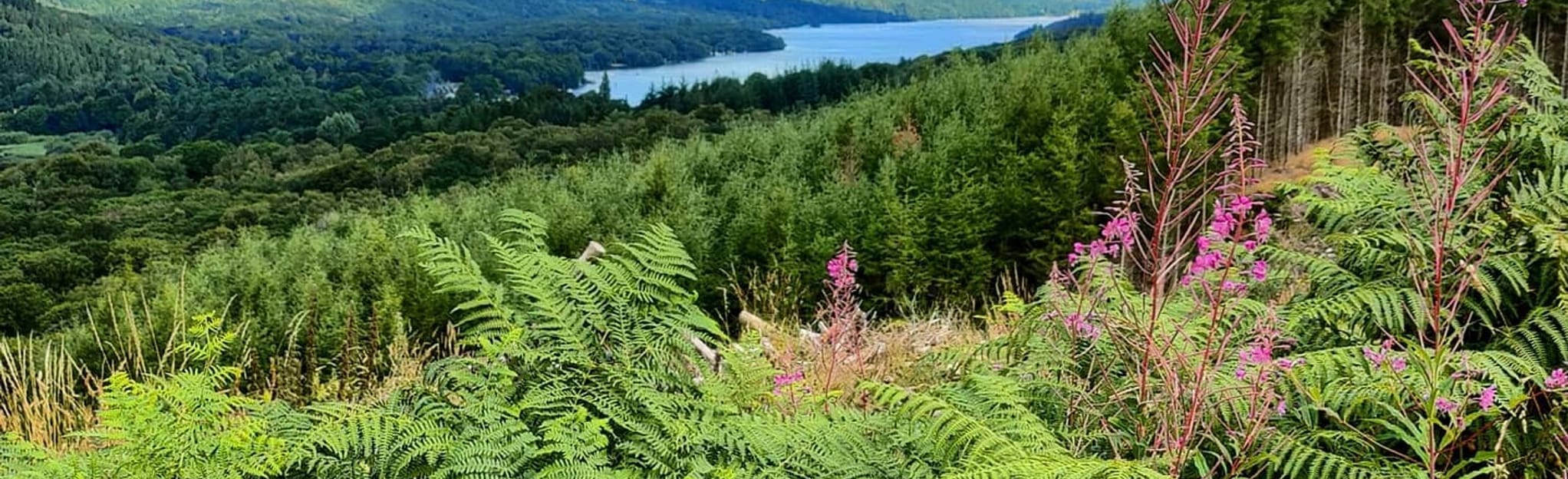 Simpson Ground Reservoir and Chapel House Wood Circular - Cumbria ...