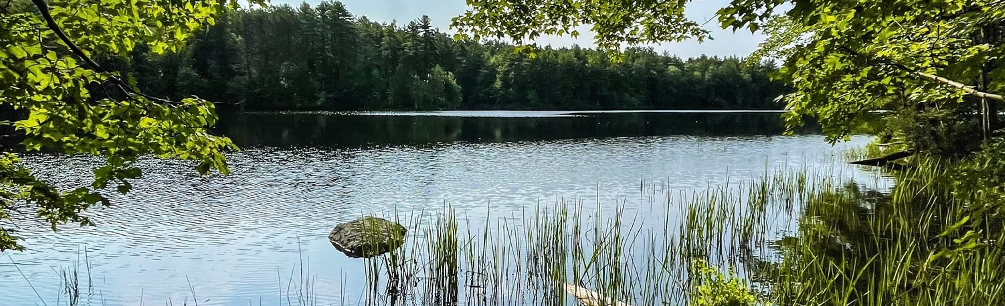Perley Brook Reservoir Loop, Massachusetts - 352 Reviews, Map | AllTrails