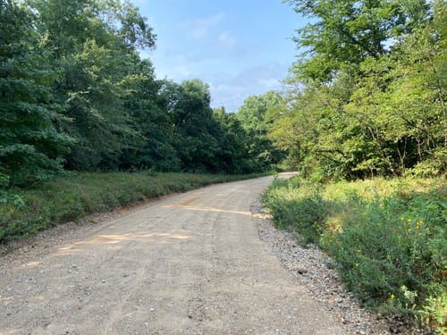 Best Hikes and Trails in Holly Ridge Conservation Area | AllTrails