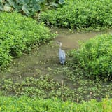 Pacific Way Trail, Washington - 204 Reviews, Map | AllTrails