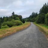 Pacific Way Trail, Washington - 204 Reviews, Map | AllTrails