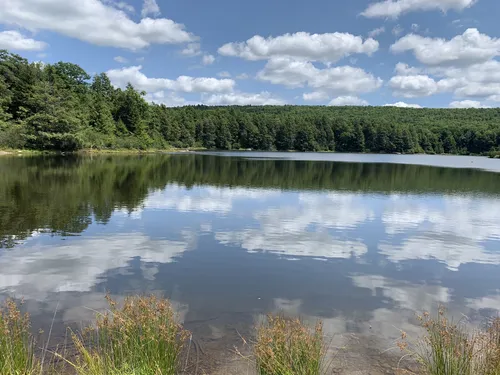 Best Camping Trails in Hardwick Township | AllTrails