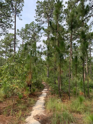 2023 Best Easy Trails in Spring Lake | AllTrails