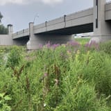 Mad River Recreation Trail, Ohio - 173 Reviews, Map | AllTrails