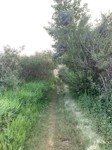 Best Hikes and Trails in Park Lake Provincial Park | AllTrails