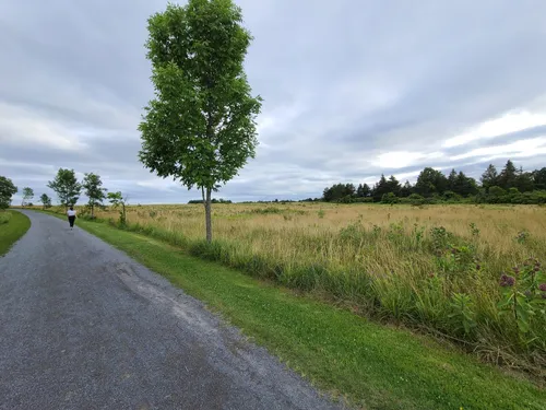 10 Best Trails and Hikes in Kingston | AllTrails