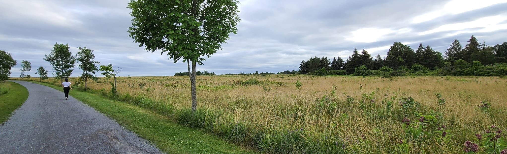 Lemoine Point Shore Trail: 494 Reviews, Map - Ontario, Canada | AllTrails