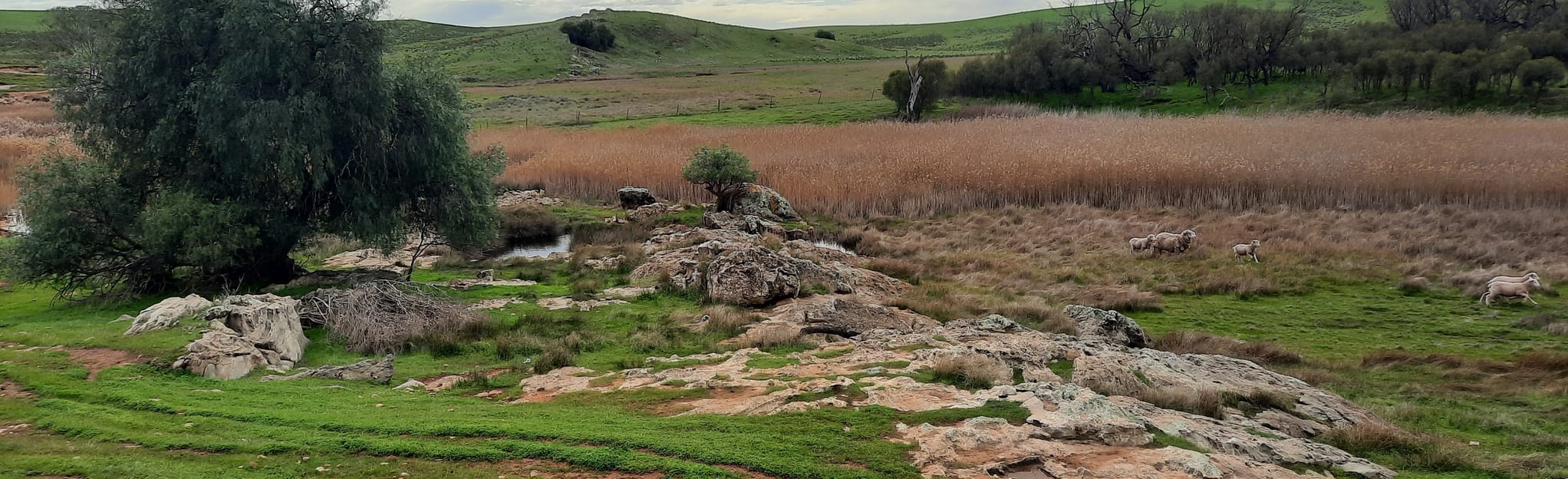 Hiskeys Hut via Heysen Trail, 72 Fotos - South Australia, Australia ...
