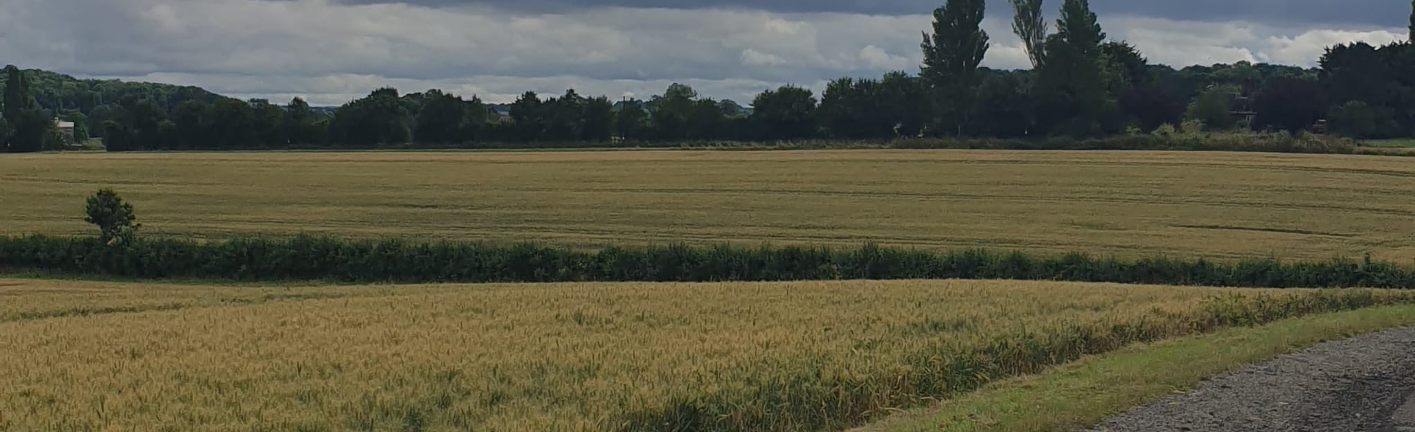 Colworth Field Circular: 33 Reviews, Map - Northamptonshire, England ...
