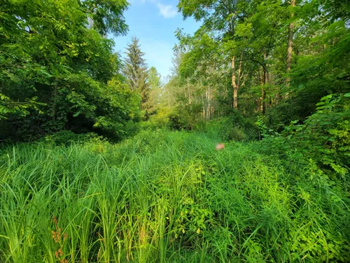 2023 Best Historic Site Trails in Strathroy-Caradoc | AllTrails