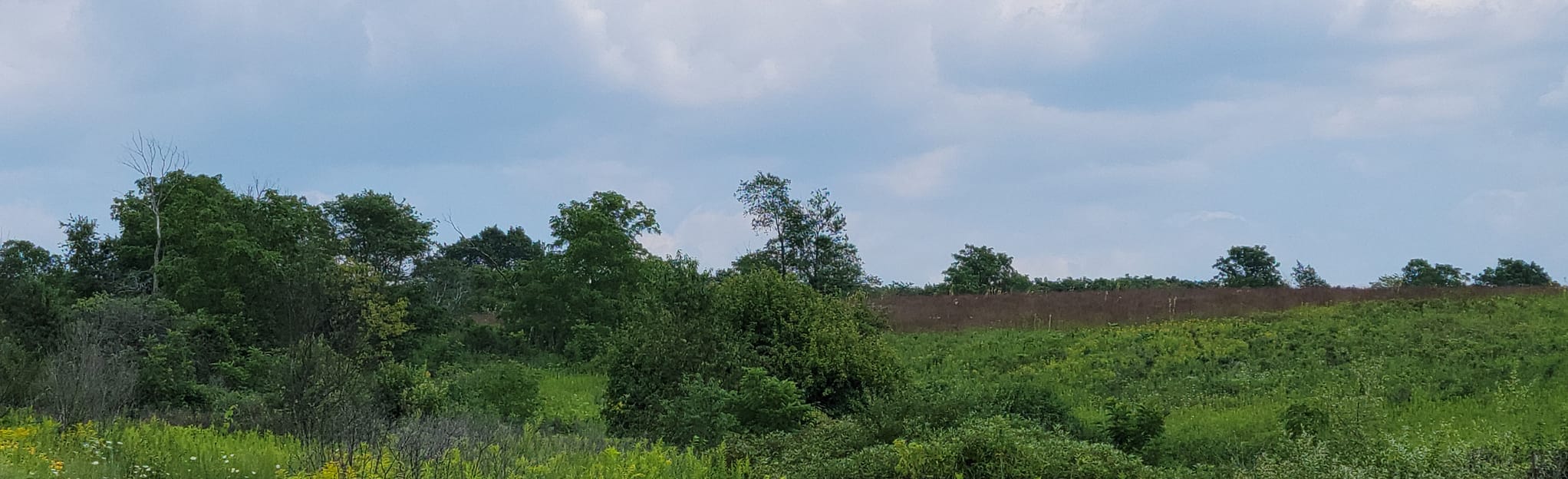 Lost Canyon Trail and Meadow Valley Trail Loop: 32 Reviews, Map ...