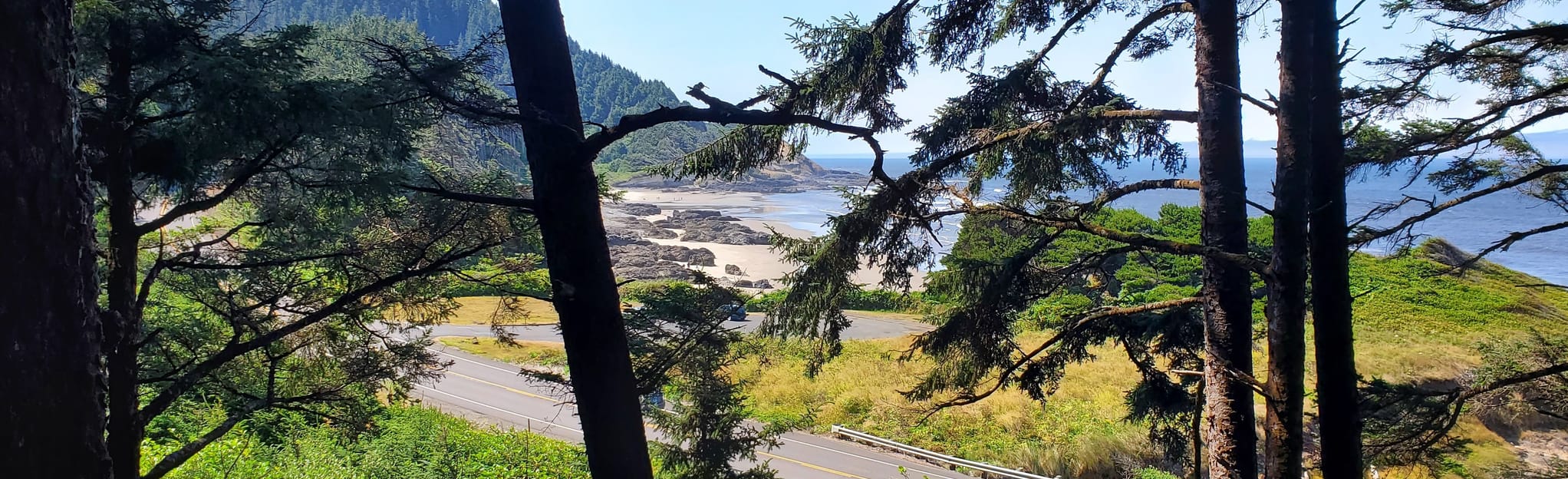 Cook's Ridge and Gwynn Creek Loop, Oregon - 689 Reviews, Map | AllTrails