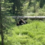 Death Canyon Loop, Wyoming - 119 Reviews, Map | AllTrails