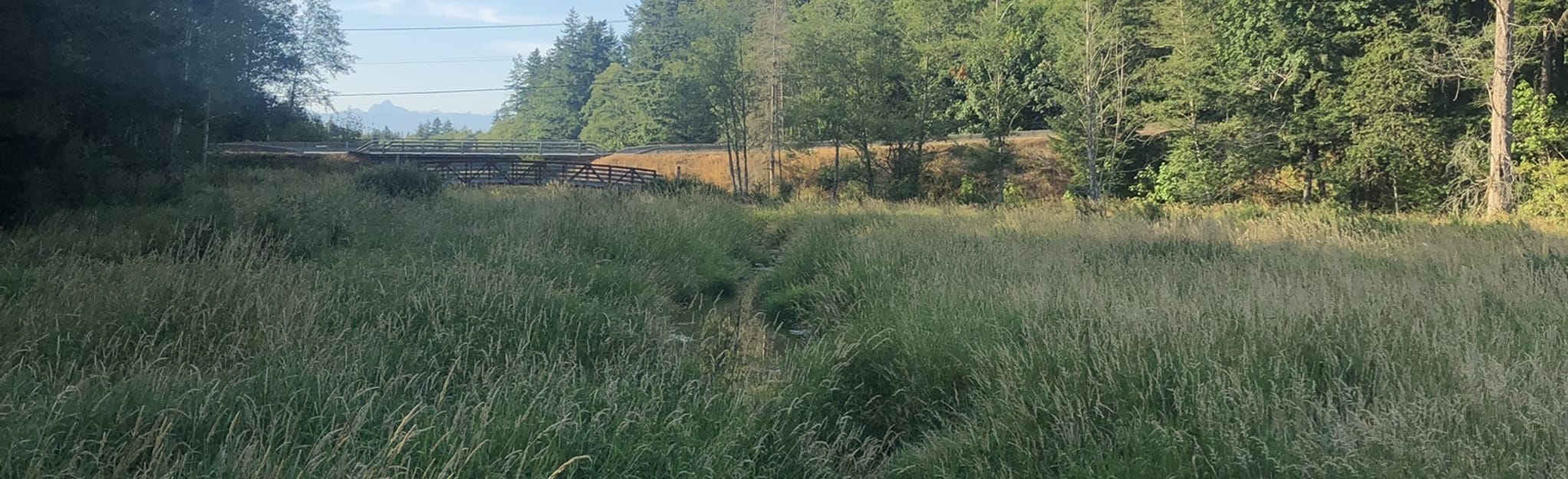 Campbell Valley Little River Trail, British Columbia, Canada - 497 ...