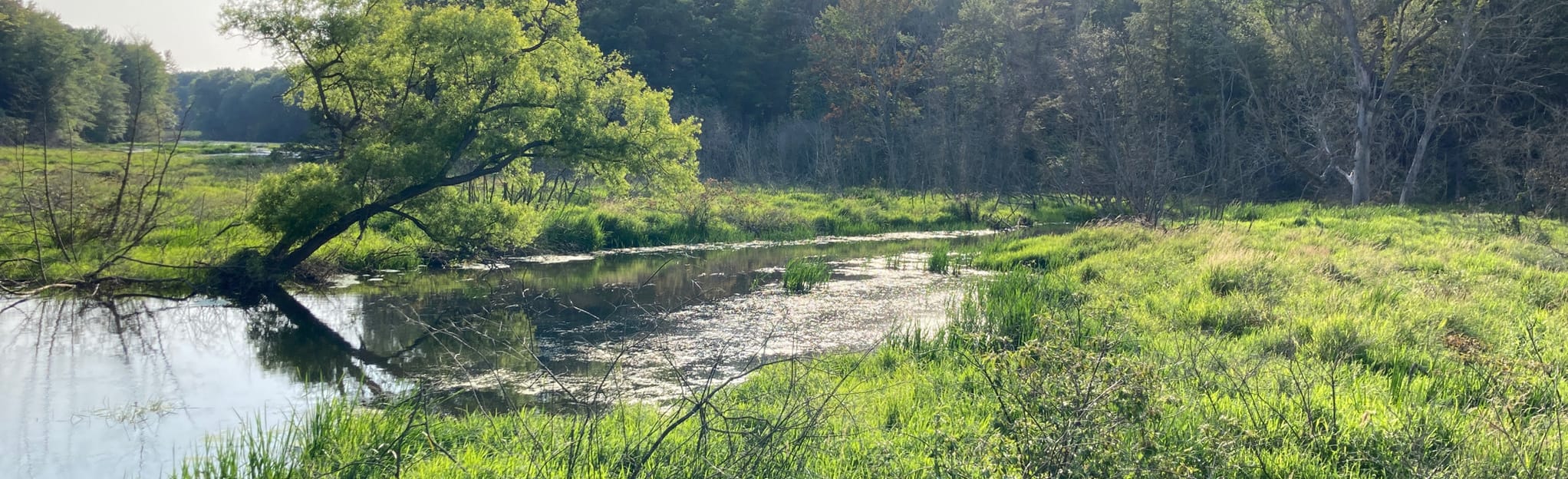 Hemlock Crossing Park: 739 Reviews, Map - Michigan | AllTrails