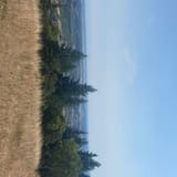 Fitton Green Natural Area Trail, Oregon - 387 Reviews, Map | AllTrails