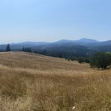 Fitton Green Natural Area Trail, Oregon - 387 Reviews, Map | AllTrails