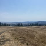Fitton Green Natural Area Trail, Oregon - 387 Reviews, Map | AllTrails