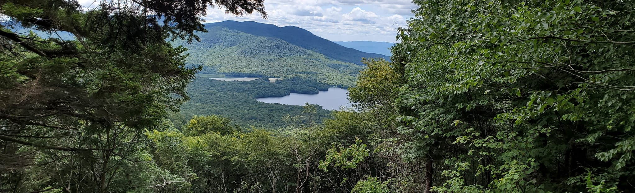 Long Trail: South Park Rd to Brandon Mountain Rd: 14 Reviews, Map ...