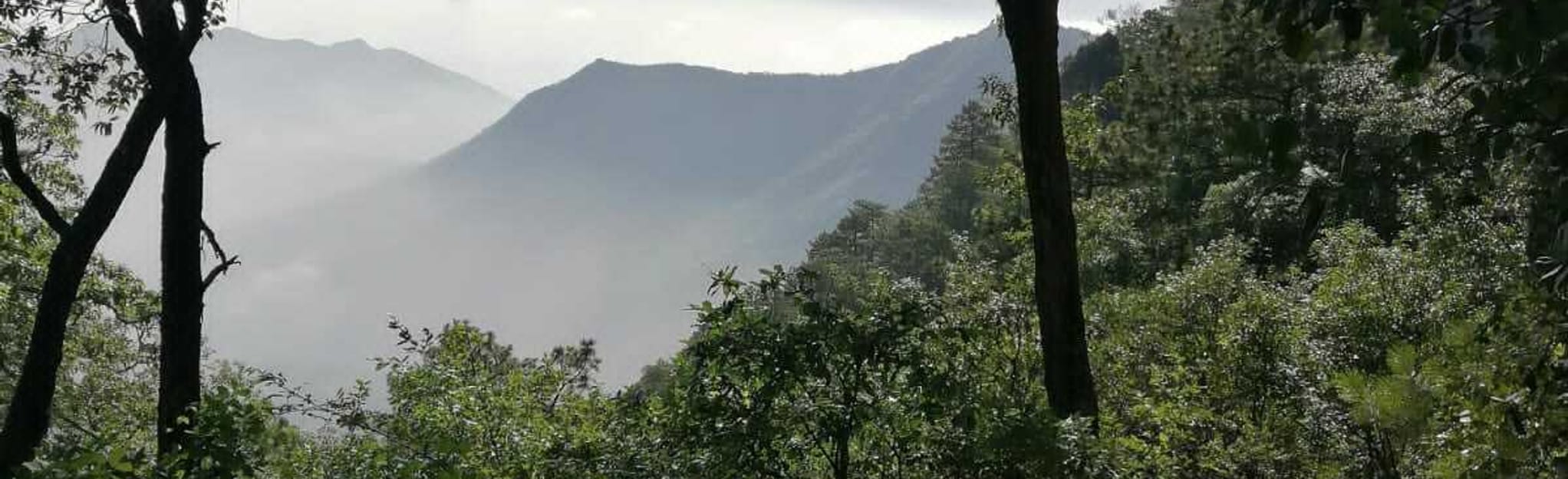 Chipinque - La M: 7 Reviews, Map - Nuevo León, Mexico | AllTrails