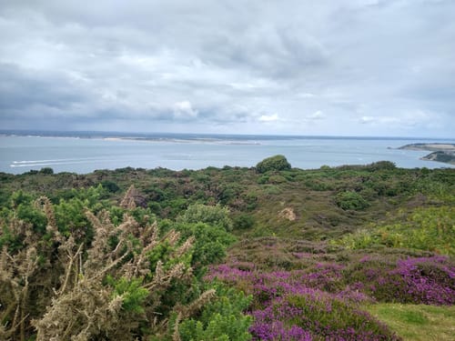 Isle of Wight Area of Outstanding Natural Beauty: Die besten kurzen ...