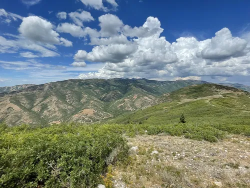 10 Best Hikes and Trails in Foothills Natural Area | AllTrails