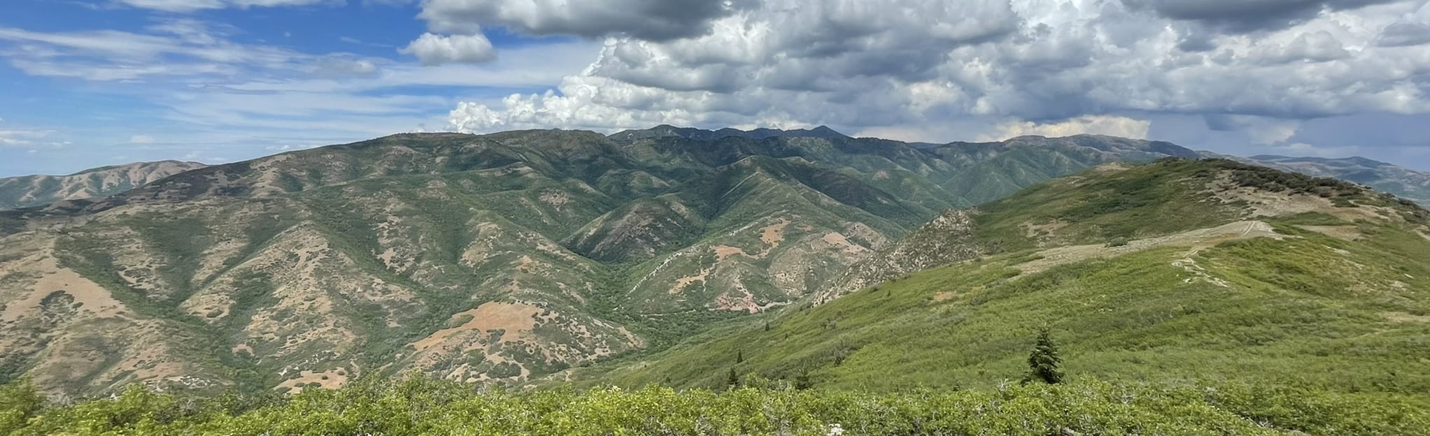 Mount Wire via Emigration Trailhead, Utah - 628 Reviews, Map | AllTrails