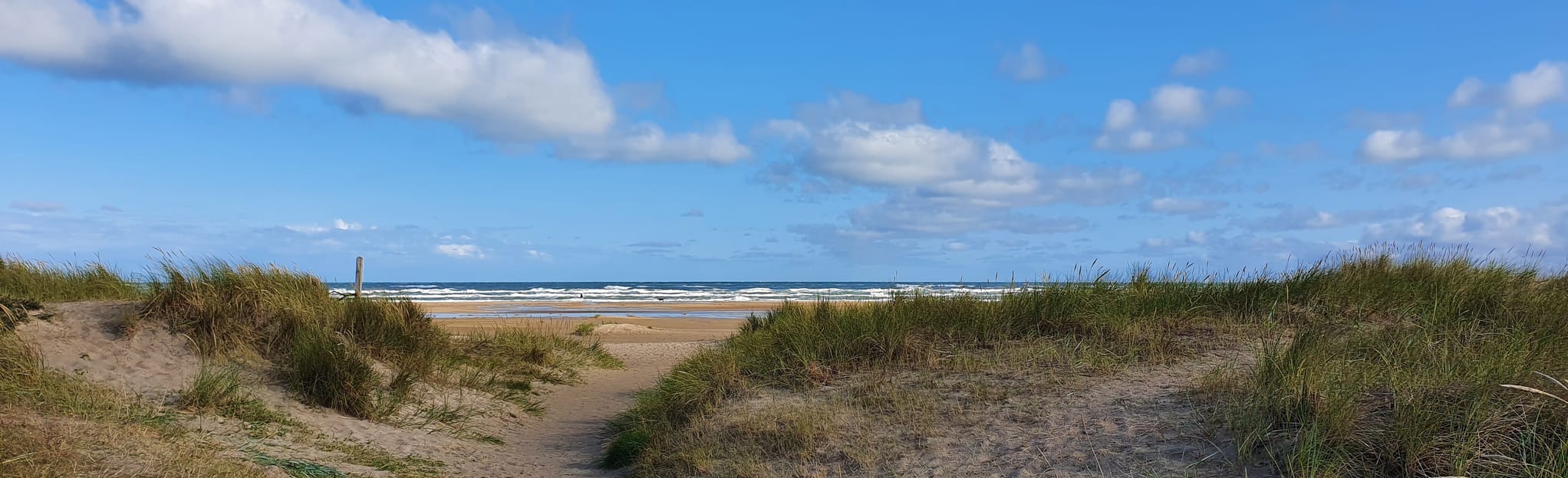 Tversted Plantation: 42 Reviews, Map - North Denmark, Denmark | AllTrails