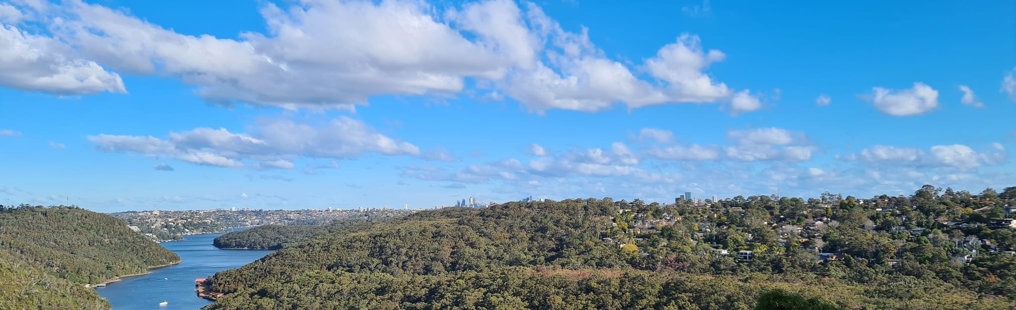 Timber Getters, Bluff, Gahnia and Engraving Tracks Loop: 236 Reviews ...