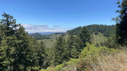 10 Best Hikes and Trails in Purisima Creek Redwoods Open Space Preserve ...