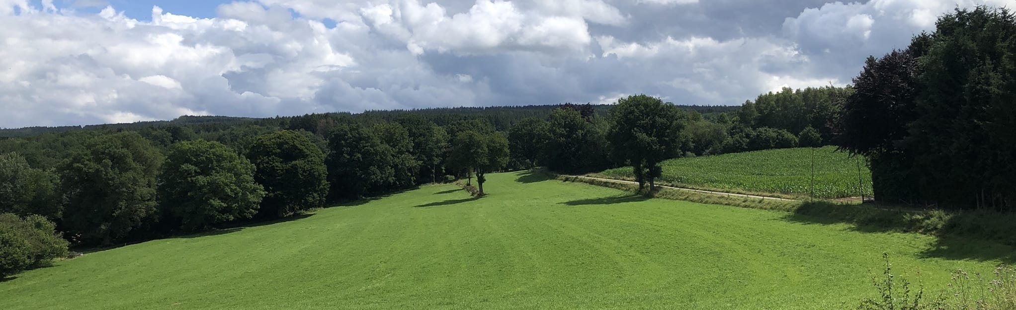 Ligneuville : Haye: 1 Reviews, Map - Liège, Belgium | AllTrails