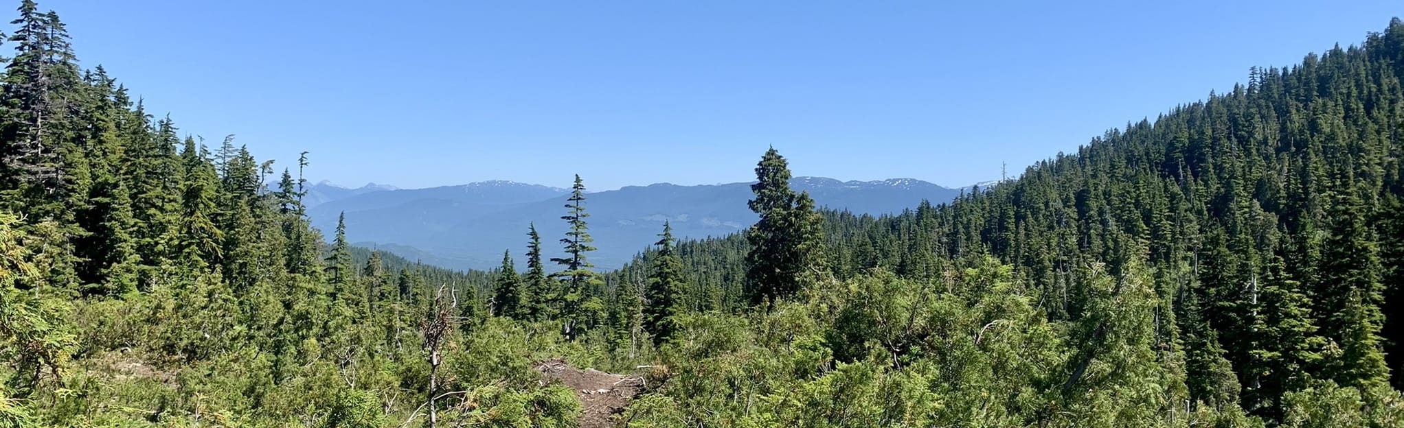 Clague Mountain Cabin: 22 Reviews, Map - British Columbia, Canada ...