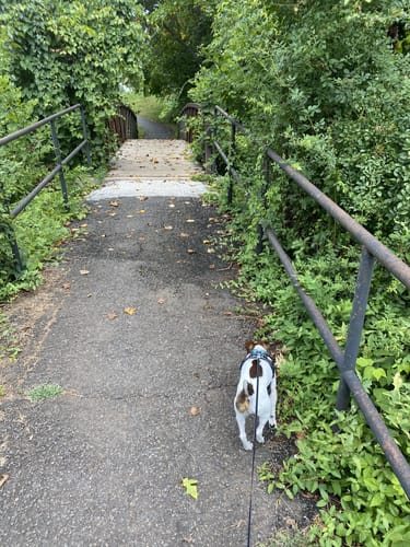 Best Hikes and Trails in Fox Valley Park | AllTrails