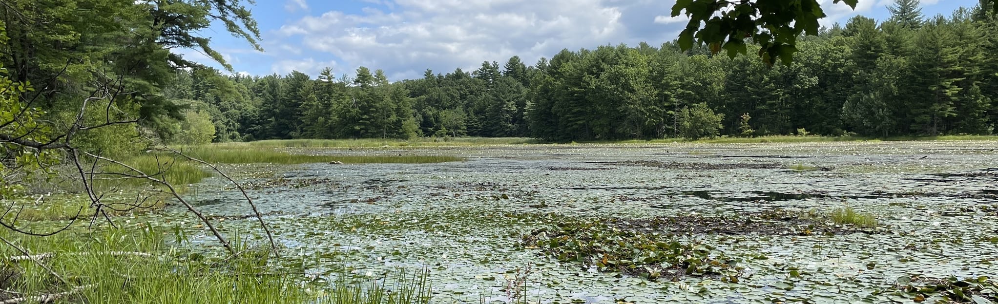 Clifton, Phoebe Rock and Pond View Loop, New Hampshire - 455 Reviews ...