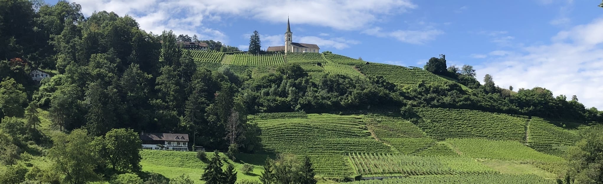 Rüdlingen - Teufen via WWF beaver trail: 7 Reviews, Map - Schaffhausen ...
