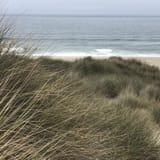 Kehoe Beach Trail, California - 316 Reviews, Map | AllTrails