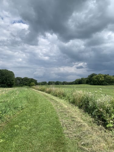 Best Hikes and Trails in Grunwald Farms Forest Preserve | AllTrails