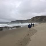 Kehoe Beach Trail, California - 316 Reviews, Map | AllTrails